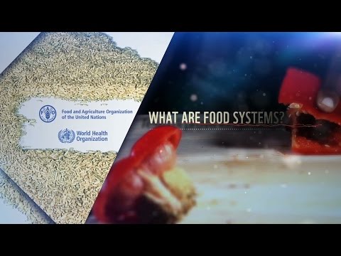 WHO-FAO - International Conference on Nutrition: What are food systems?
