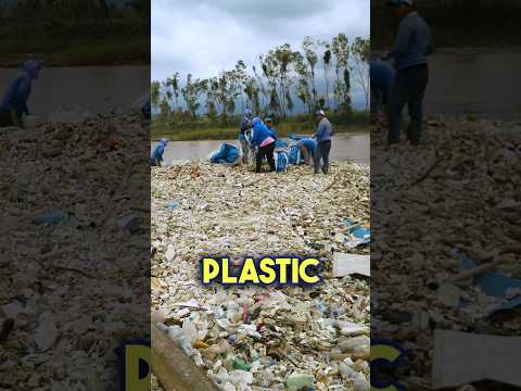 Plastic pollution is a global problem 🌎, but we are here to make a difference! #boomsystem #4ocean