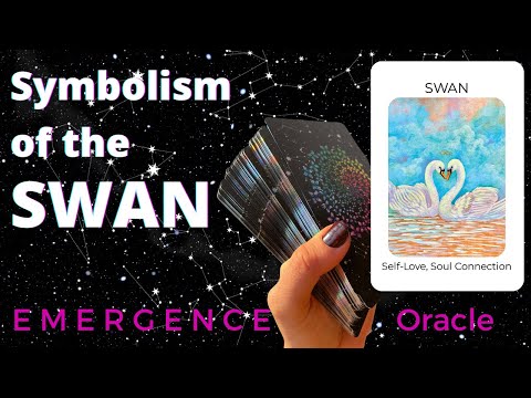 🦢 Spiritual Meaning of Swans: Symbolism from E M E R G E N C E Oracle