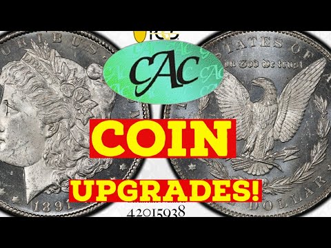 PCGS & NGC CAC Coin Grading Huge Upgrades! Very nice Morgan CC Dollars, Seated Dollar, Indian Cents.