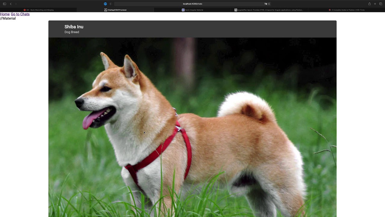 Fullstack2021 | p46 | Angular Material | Building a Beatiful card and aligning it center center
