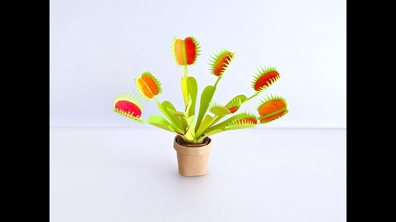 Venus Flytrap with Cricut and Cardstock