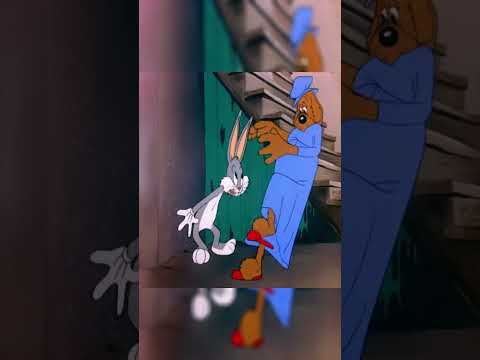 Bugs Bunny Flirts With Momma Bear 3 Bears | Funniest Romantic Looney Tunes Moment! #shorts