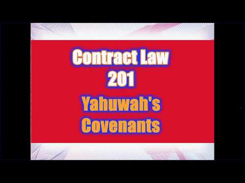 Contract law 201 (Concise Version)