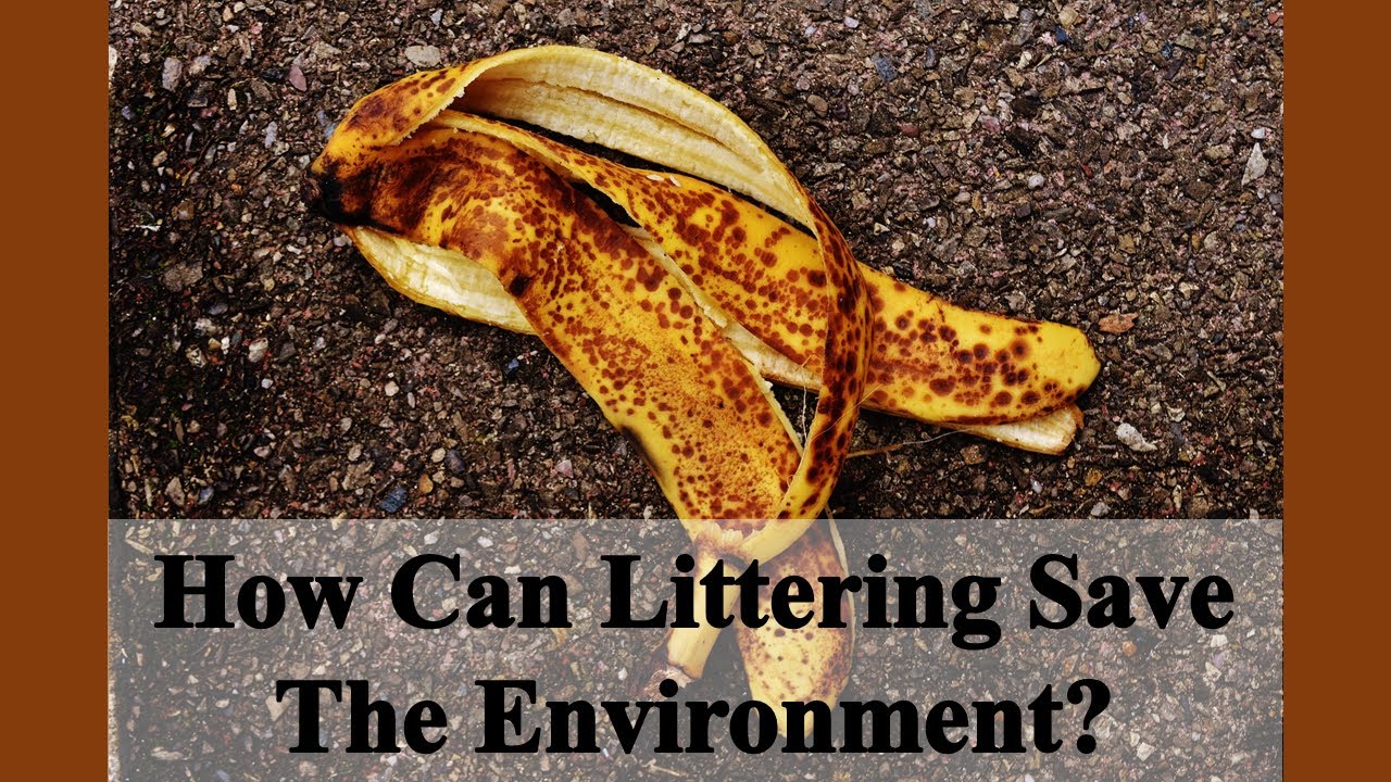 How To Solve The Trash Problem By Littering