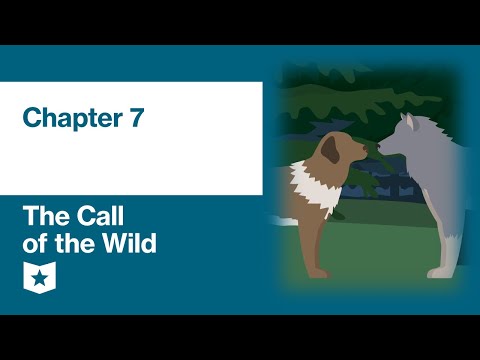 The Call of the Wild Study Guide | Course Hero