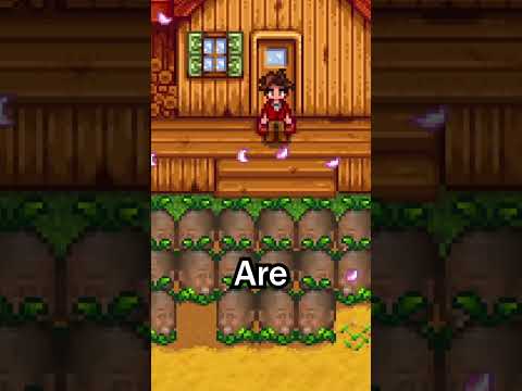 The Weirdest Stardew Valley Mods...