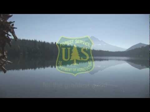 Accessible Adventures for those with limited mobility | Better Ideas Now