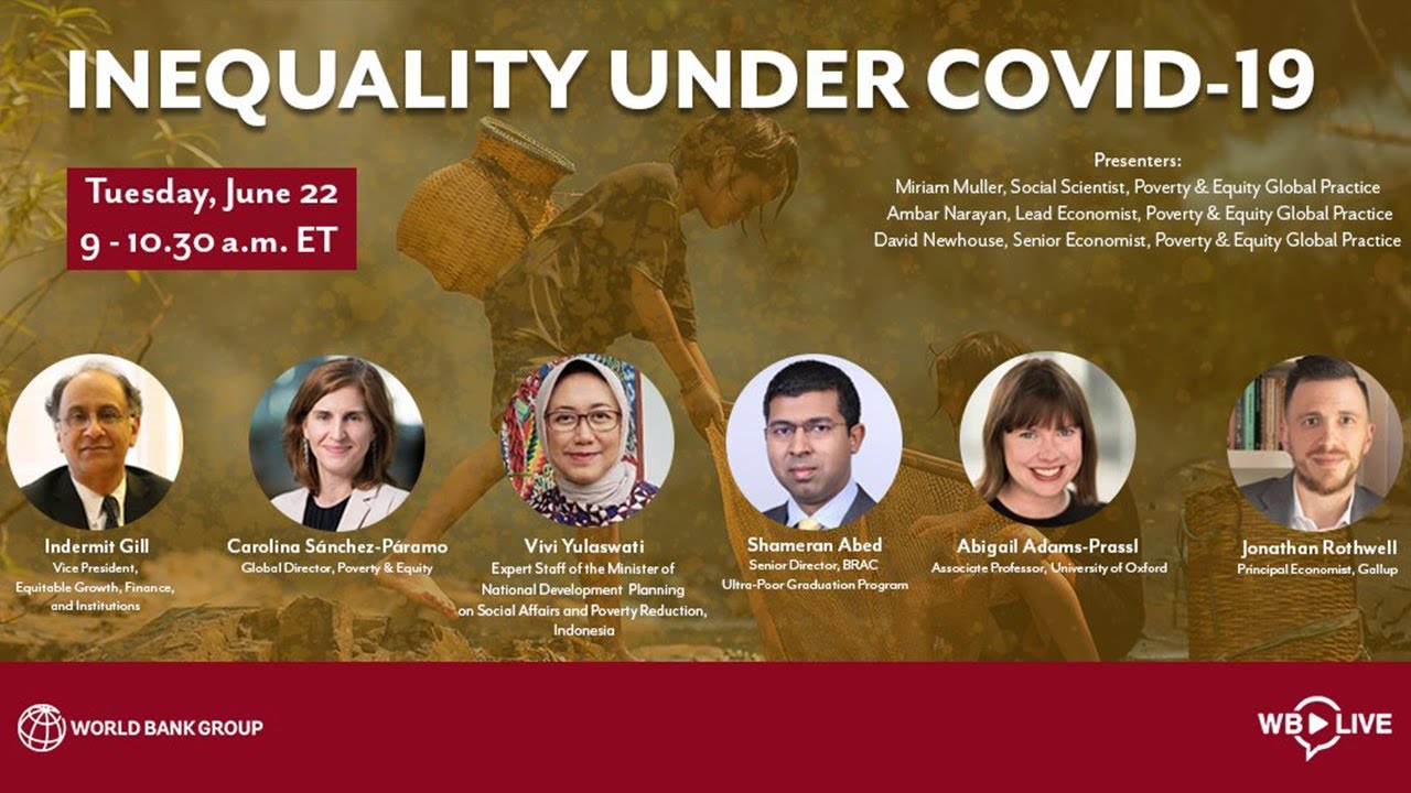 Inequality under the COVID-19 Pandemic