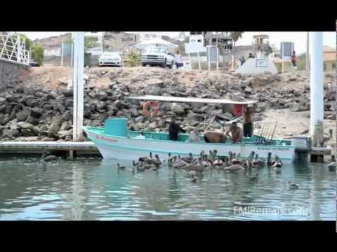 Rentals in Puerto PeƱasco