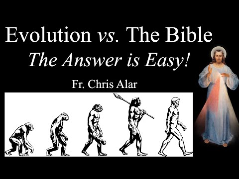 Explaining the Faith – Evolution: What the Church Actually Teaches ...