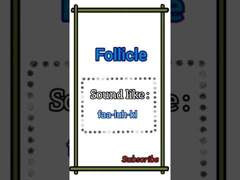 How To Pronounce Follicle || Learn English Pronunciation