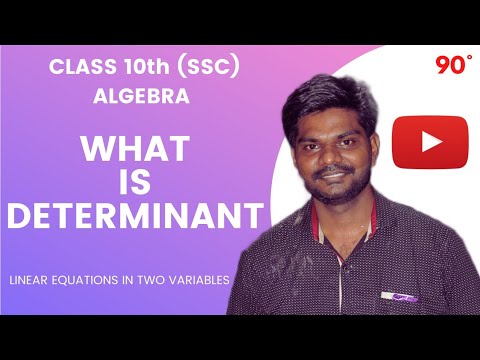 WHAT IS A DETERMINANT