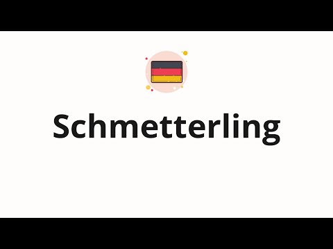How to pronounce Schmetterling (Butterfly in German)