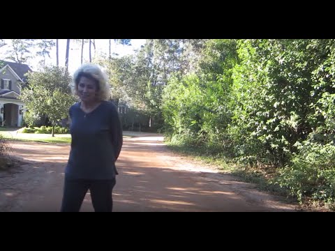 Zipcode 77024 Houston, TX Real Estate BOOMING! Nov. 2014