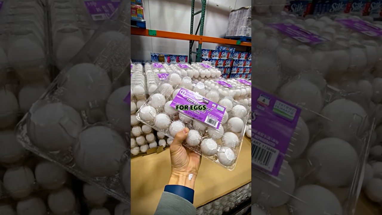 Joe Rogan on Crazy EGG Prices 🥚