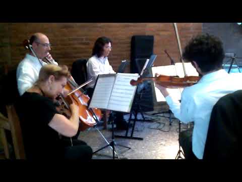 Música para Bodas | Valeria Rinaldi
