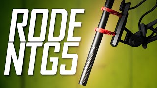 Rode NTG5 Shotgun Condenser Microphone Kit - What To Know & Where To ...