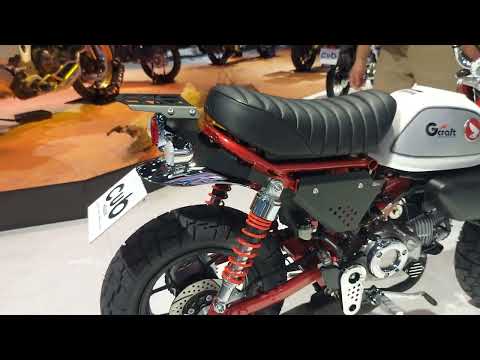 Unleash the Beauty 125cc Honda Monkey 2024