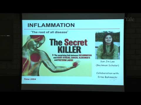 10/8/11 Scott Strobel - Searching Rainforests for Biological and Chemical Secrets