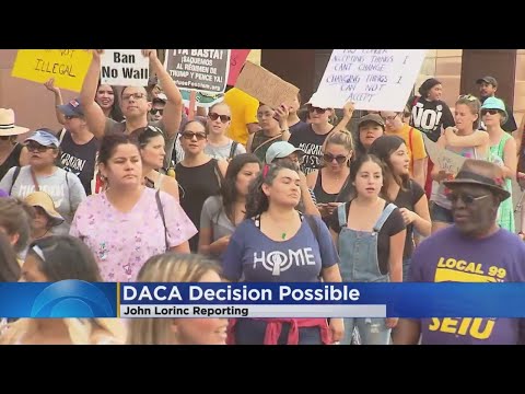 800K Dreamers To Be Affected If Trump Ends DACA Program