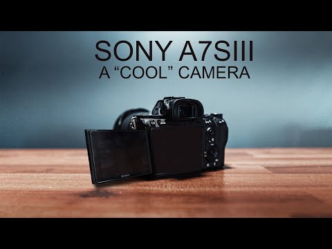 SONY A7SIII RUMORS- FULL HDMI, FLIP TOUCH SCREEN, 4k 120, NO OVERHEATING?