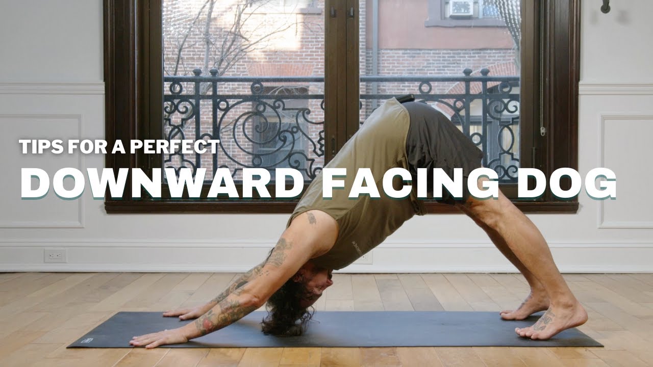 How to Get Into Downward Facing Dog | Down Dog Tutorial for Beginners