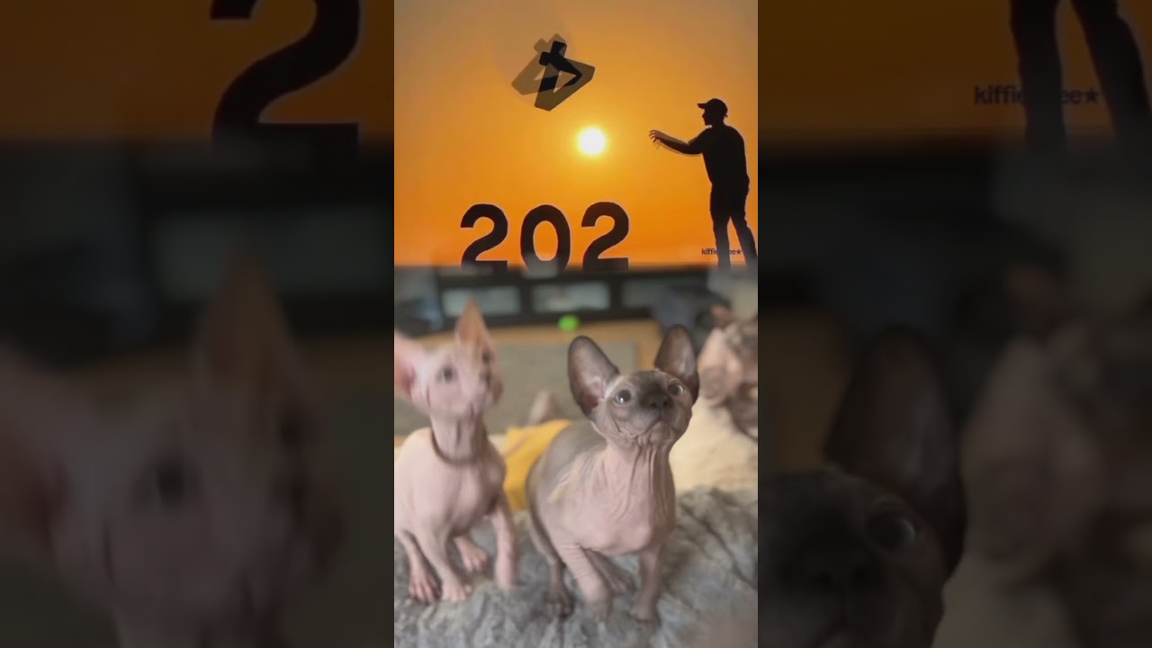 Goodbye 2024 - Welcome 2025