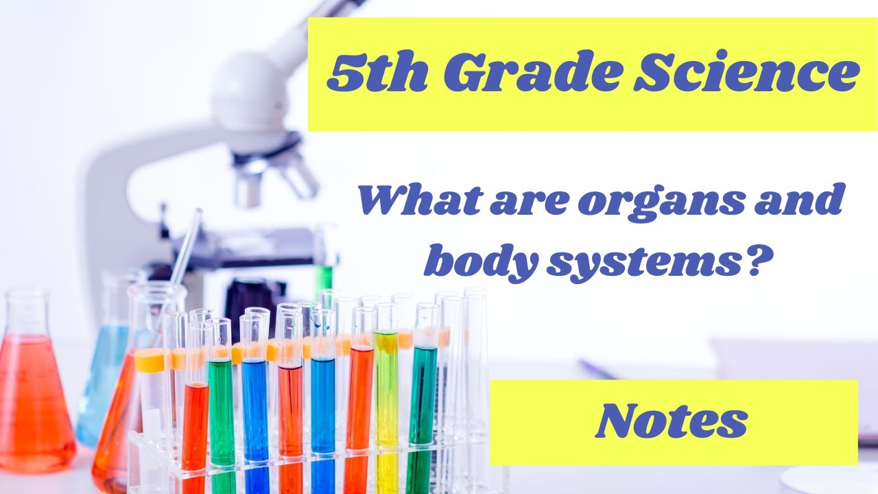Organs and body systems notes // 5th grade science eLearning lesson