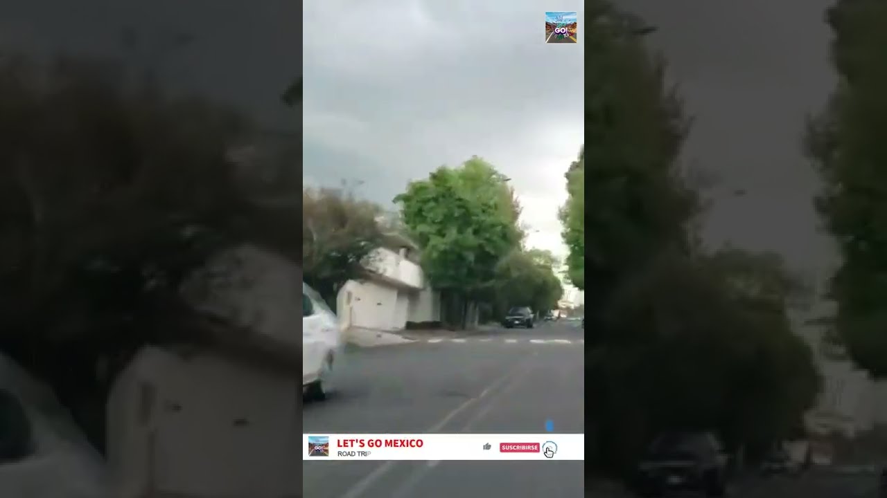 ⭐🚶‍♂ Bosque de las Lomas Estado de México | #letsgomexico #mevacreaciones #shorts