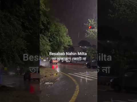 Jisko Jo Bhi Milta Hai | Bangla Meaning | Hindi Song With Bangla Lyrics | My Edit #nitua_72