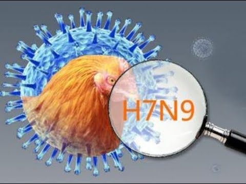 Disease ‘X’ Kills Hundreds In China: 40 Mortality Rate An Unusually Dangerous Virus For Humans