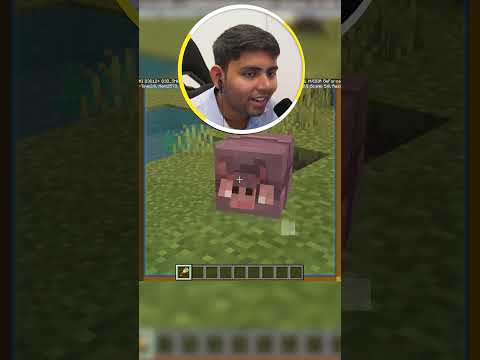 Testing Armadillo in Minecraft 1.21 Early!