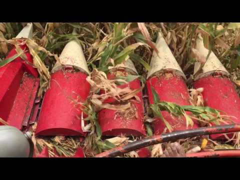 Maize Harvester at Best Price in India