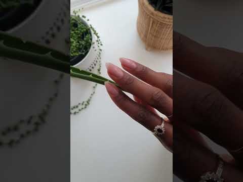 What is Builder Gel (BIAB)?