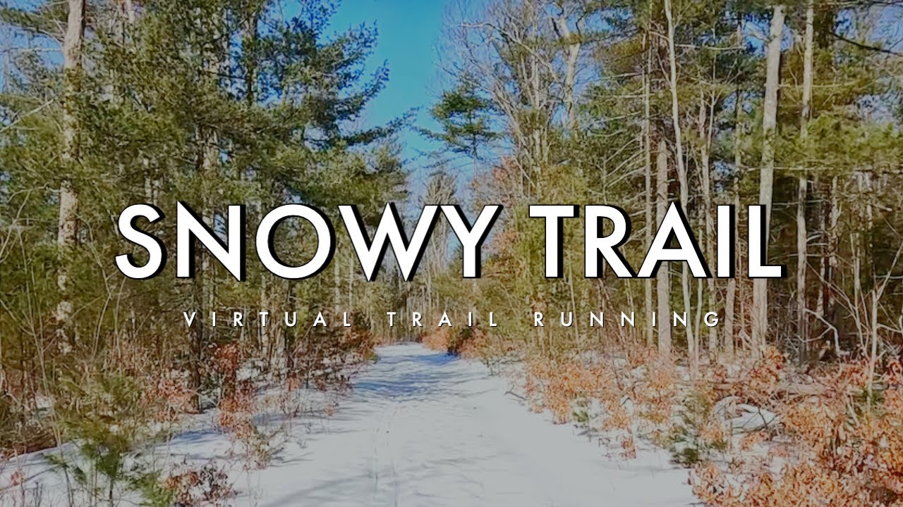 Blue Sky and Snowy Virtual Running - New England Snowy Woods Trail Run