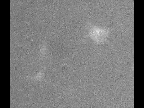 Motoneuronas (GCaMP6) + MCM-mSOD1WT (Aplicación distal)