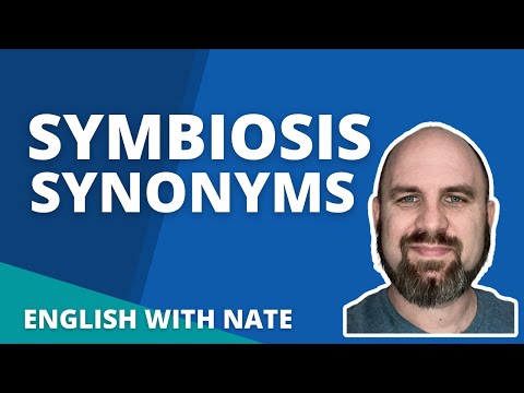 Symbiosis Synonyms (Learn English With Nate)