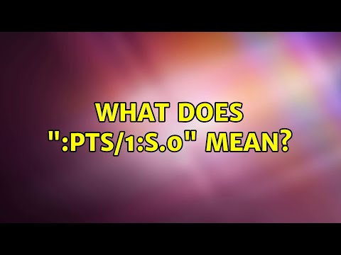 What does ":pts/1:S.0" mean?