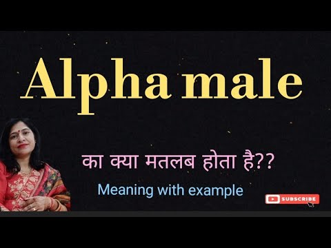 Alpha male meaning l meaning of alpha male l alpha male ka matlab Hindi mein kya hota hai l vocab