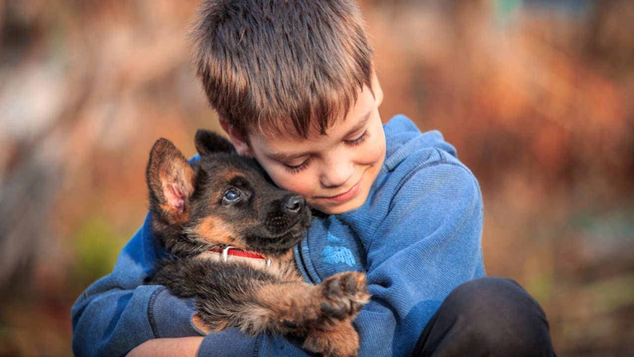 Science Says Dogs HATE Being Hugged? | What's Trending Now