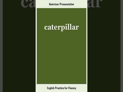 caterpillar, How to Say or Pronounce CATERPILLAR in American, British English, Pronunciation