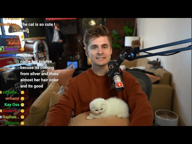 Ludwig plays Marbles on Stream to decide the name of his new cat