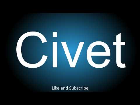 How to correctly pronounce - Civet.