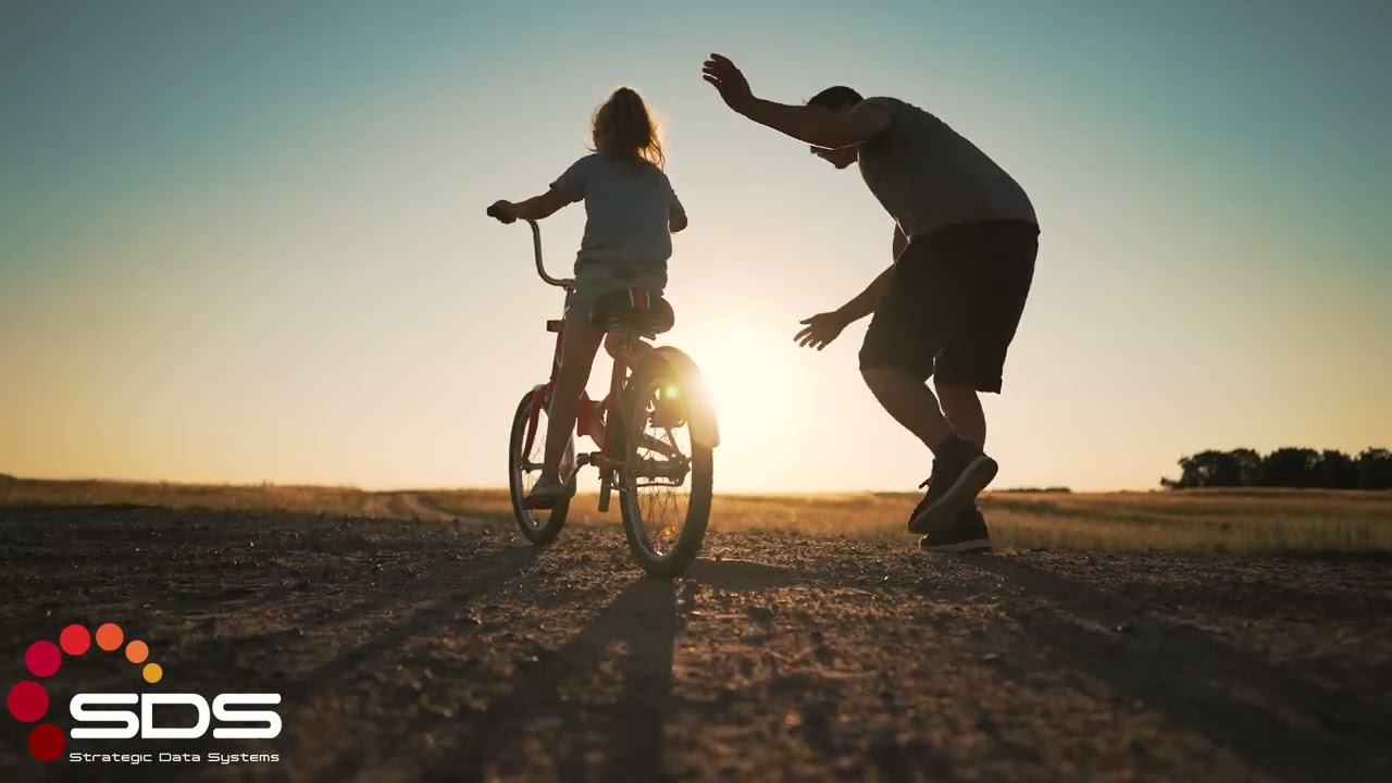 Strategic Data Systems - What We Do