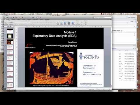 Exploratory Data Analysis