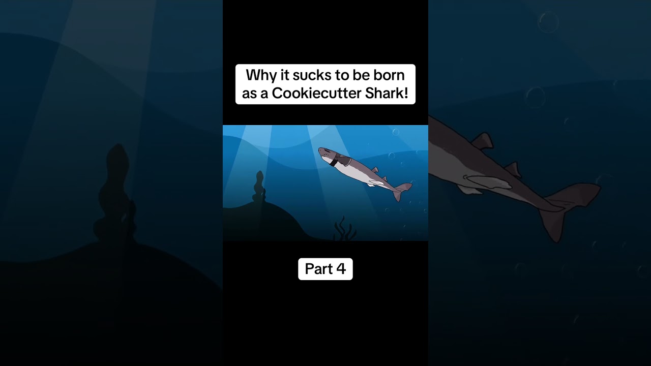 Why it sucks to be born as a Cookiecutter Shark! | Part 4 #cookiecutter #shark