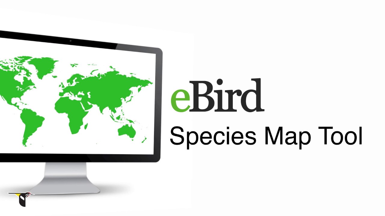 Explore Species Maps - eBird Essentials