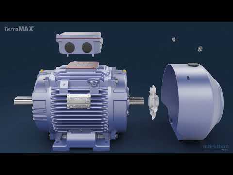 TEFC Motor - TEFC Electric Motors Latest Price, Manufacturers & Suppliers