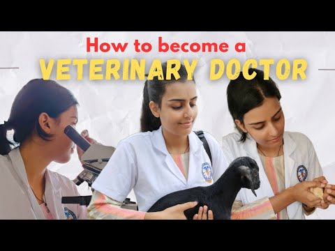 How to become a Veterinary Doctor in India 💯 | Complete Process #vet #neet #new#veterinary #newvideo